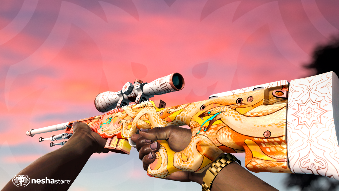 Top 10 skins de AWP