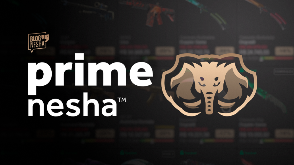 O NeshaStore.com agora é New Nesha!